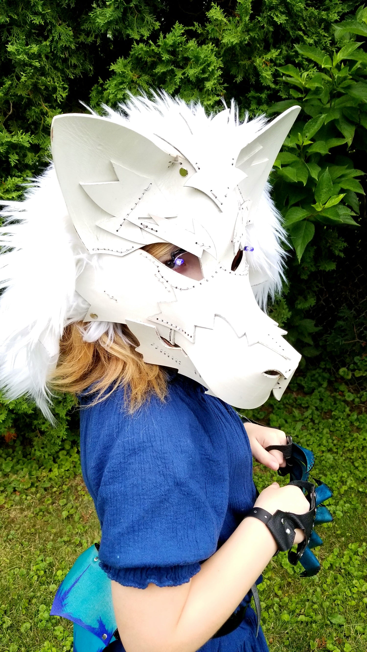 Furry Gallery – DaSueDragon Designs